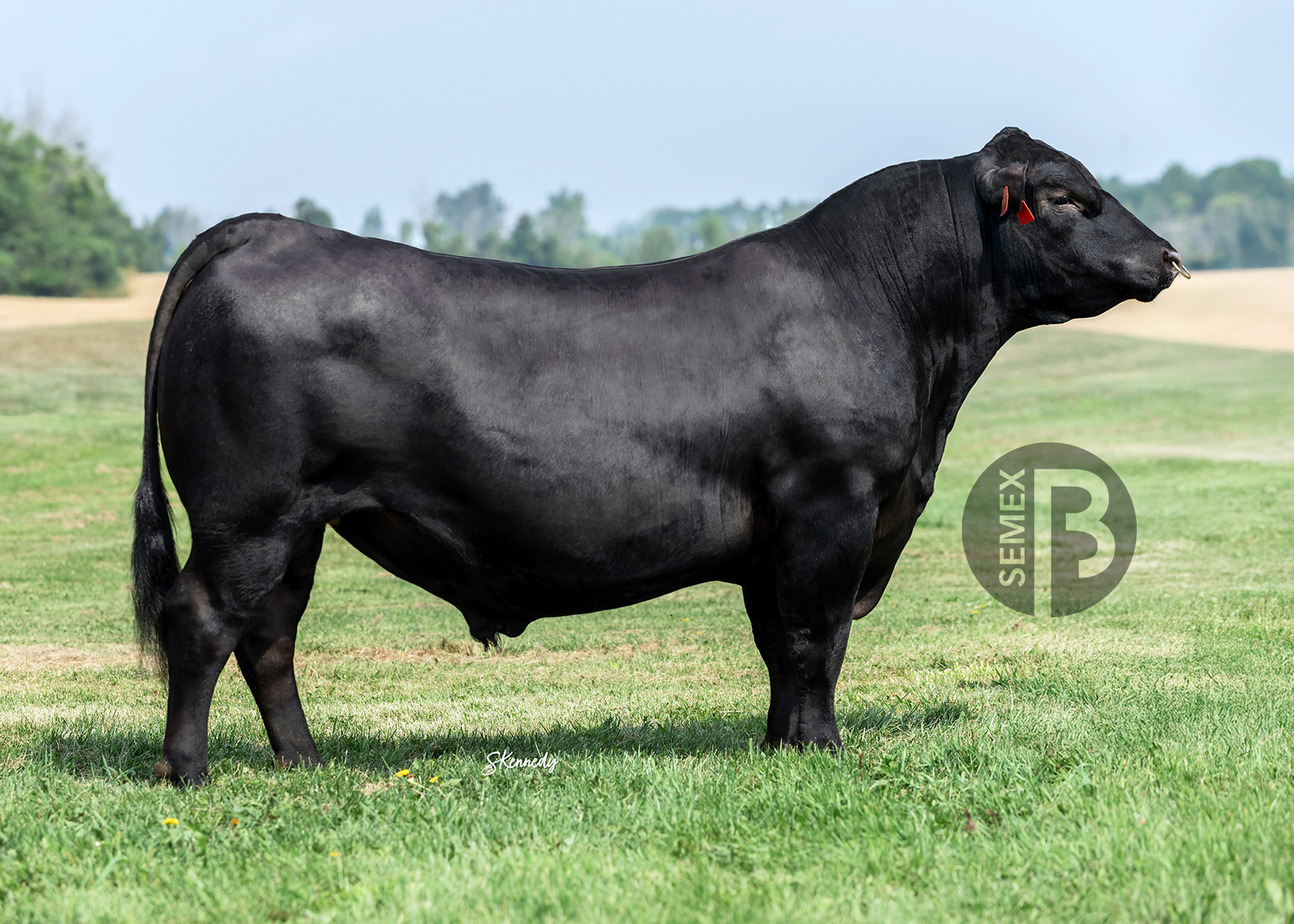 Semex | VIERRA SMX BOOMTOWN 91056 0200AN10537