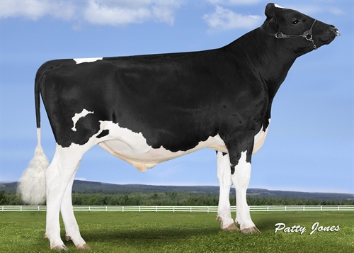 Semex | SWISSBEC TROUBADOUR 0200HO11254 HOCANM12857877