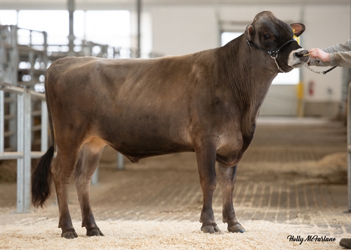 Semex | JX VIERRA VOODOO CHILD {5} ET 0200JE01455 JE840M3239528915