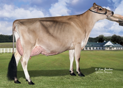 Semex | JX BOS STENO ESTEBAN {6} ET 0200JE01461 JE840M3252276861