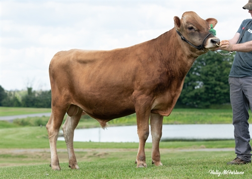 Semex | JX BOS STENO ESTEBAN {6} ET 0200JE01461 JE840M3252276861