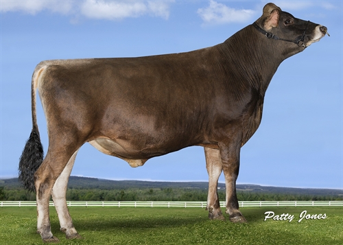 Semex | JX ALL LYNNS VALOR {4}-ET 0200JE01170 JEUSAM173133408