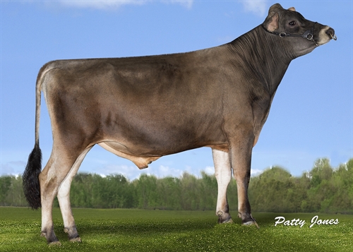 Semex | JX WILSONVIEW SKYMAN {6}-ET 0200JE01184 JEUSAM173275032