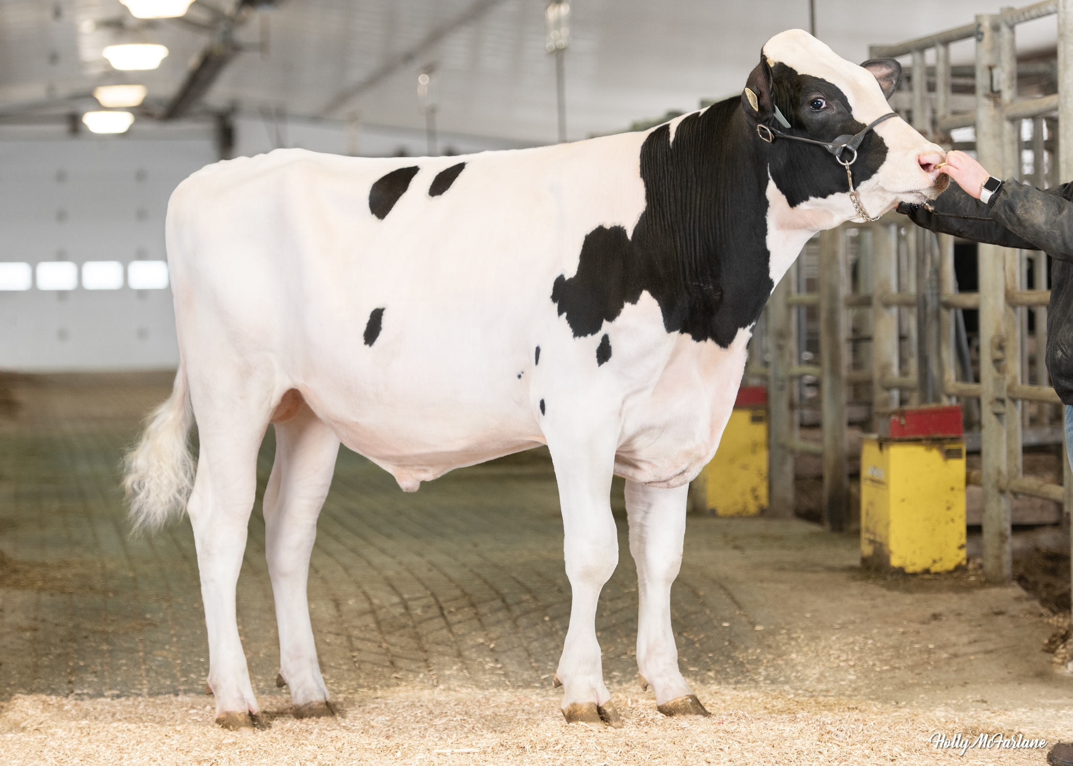 Semex | News